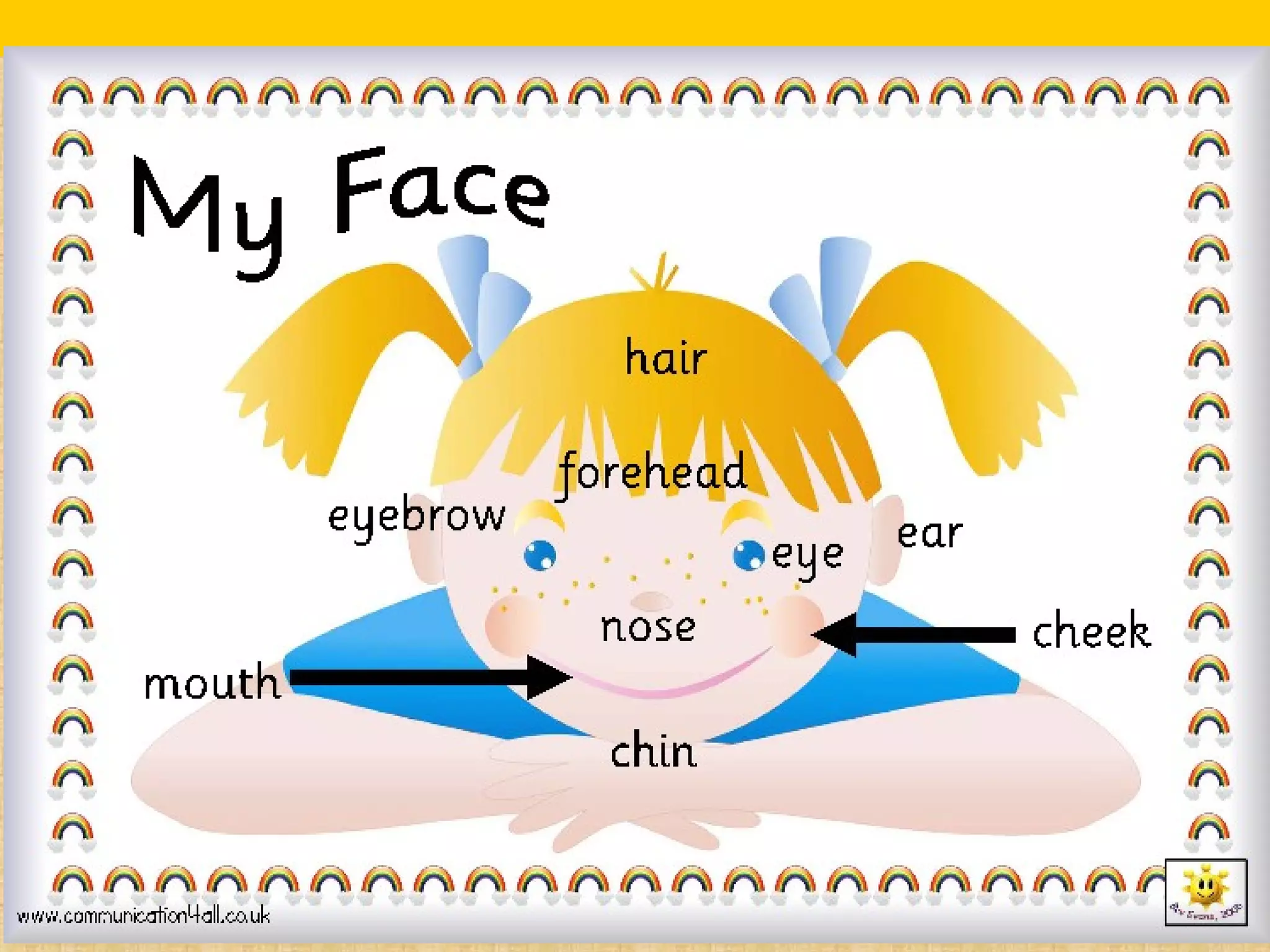 How my body works | PPT