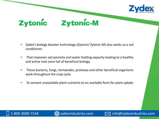 How mycorrhiza benefits crops- zydex industries | PPTX