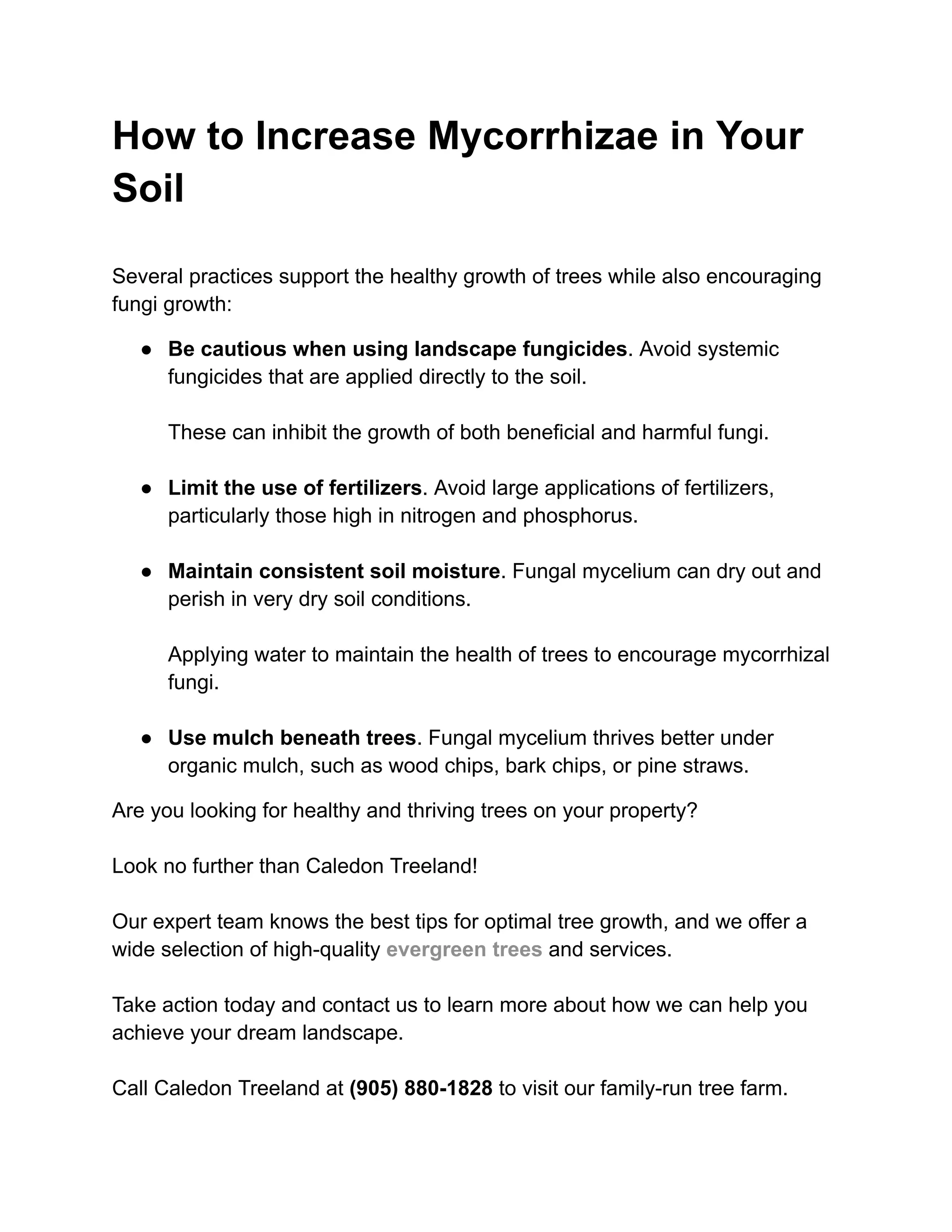 How Mycorrhizal Fungi Can Benefit Your Tree.pdf