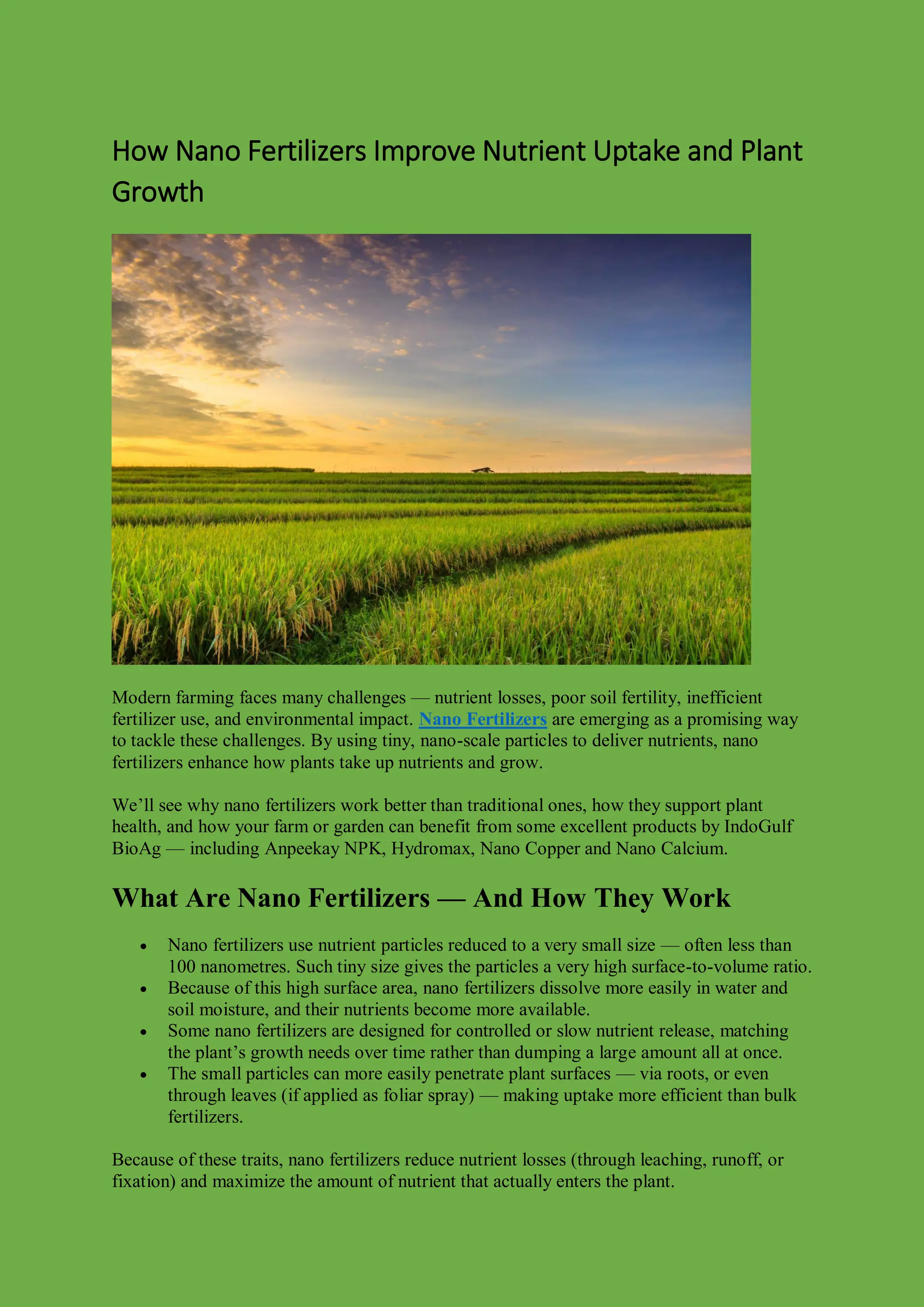 How Nano Fertilizers Improve Nutrient Uptake and Plant Growth.pdf