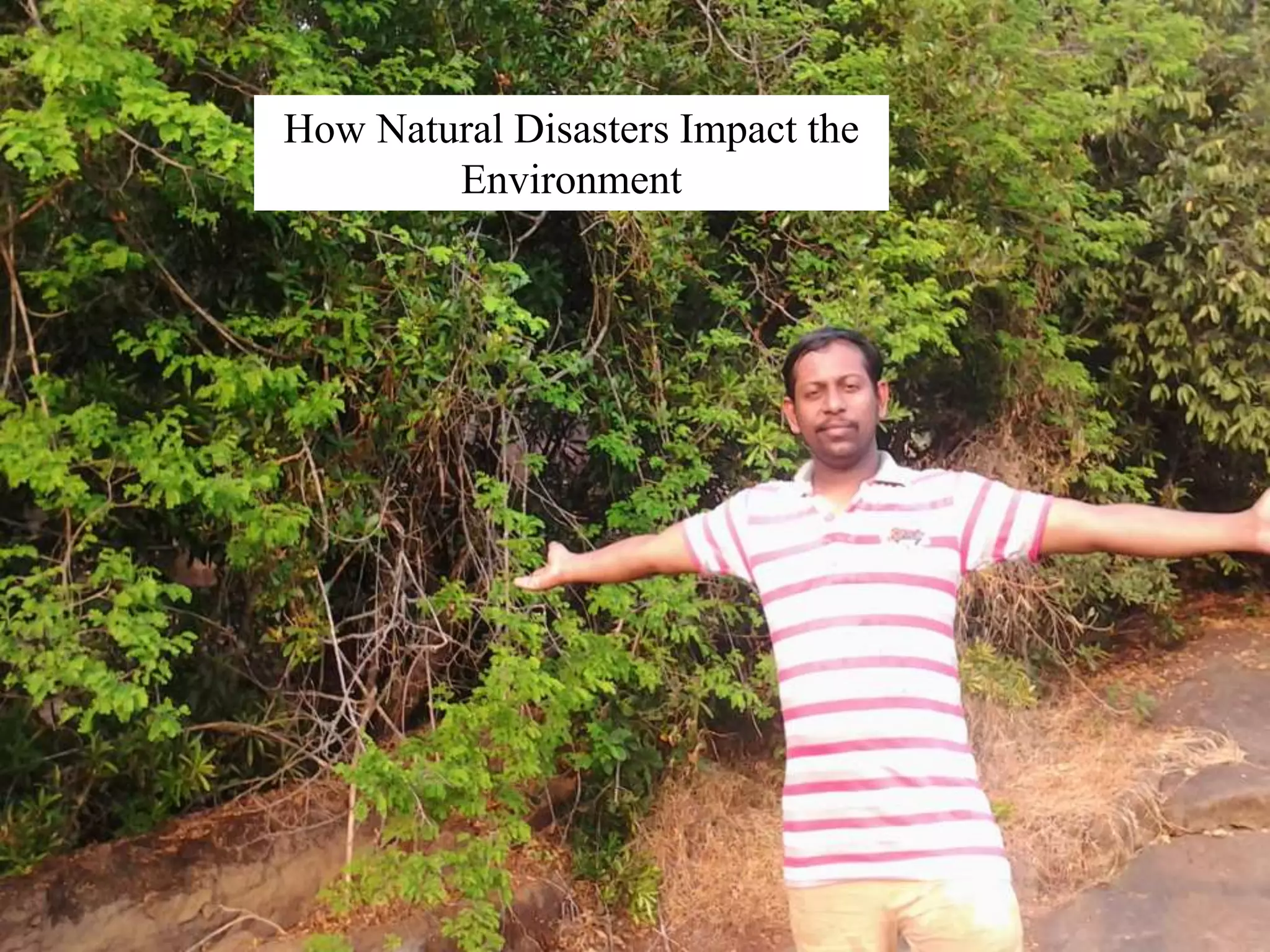 How natural disaster impact the environment | PPT