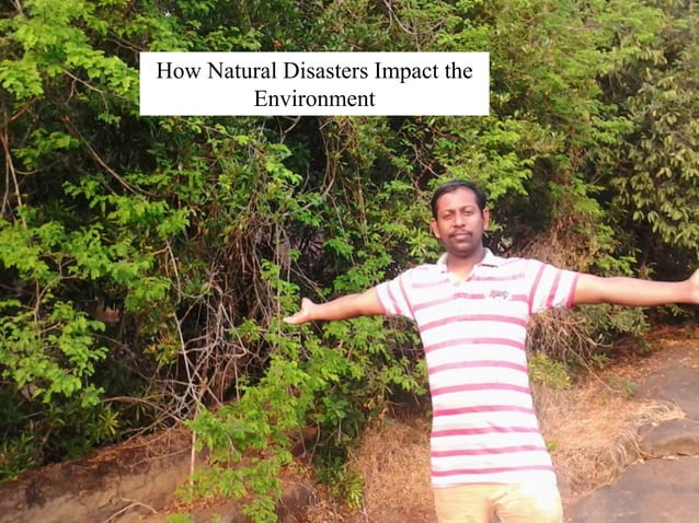 How natural disaster impact the environment | PPT | Geology | Science