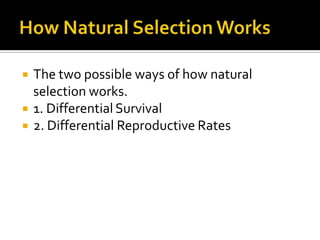 How natural selection works | PPTX