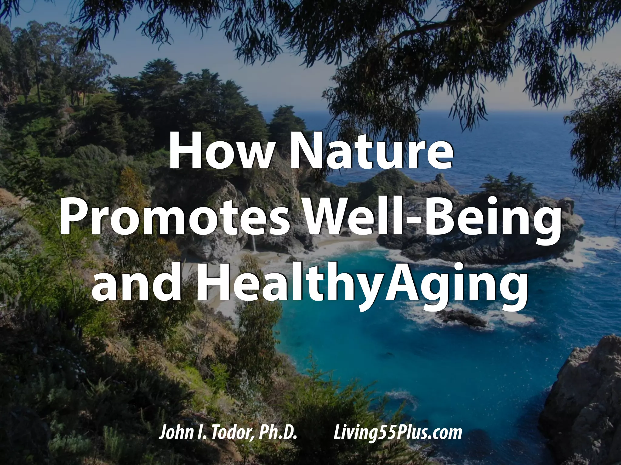 How nature contributes to well being and healthy aging | PDF