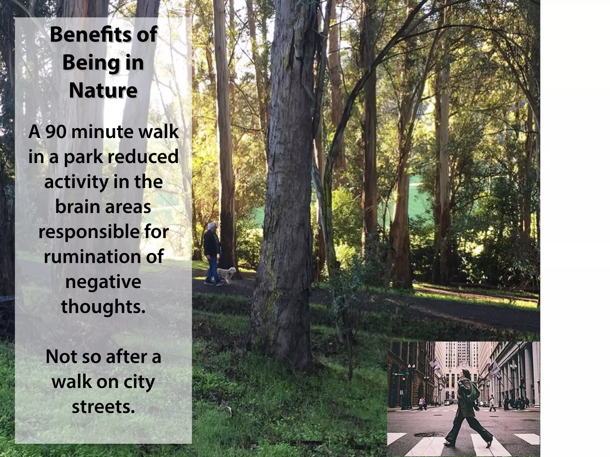 How nature contributes to well being and healthy aging | PDF