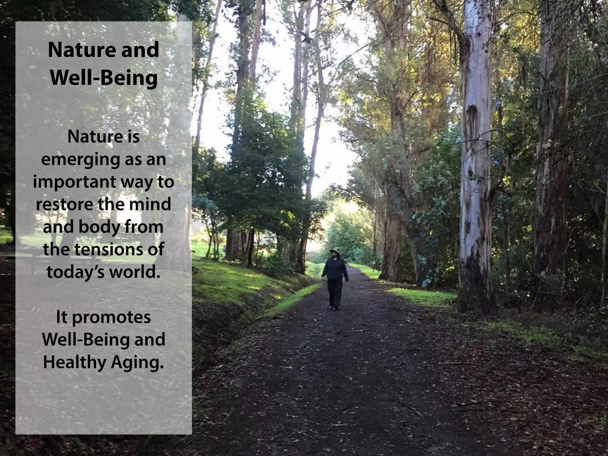 How nature contributes to well being and healthy aging | PDF