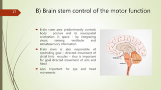 How nervous system works | PPTX
