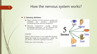 How nervous system works | PPTX