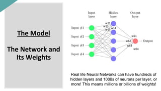 How neural networks learn | PPT