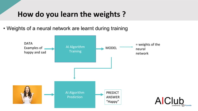 How neural networks learn | PPT