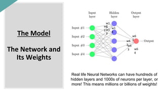 How neural networks learn part iii | PPT