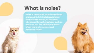 How noise effects animals.pptx