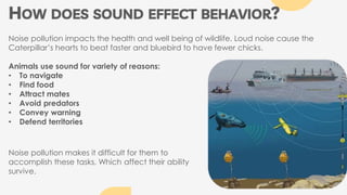 Effects Of Noise Pollution On Wildlife