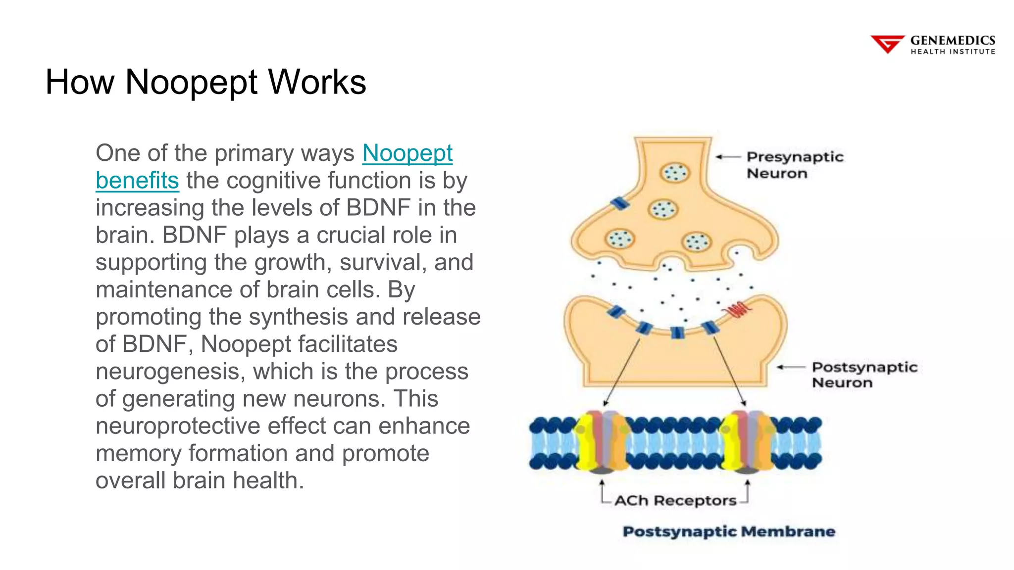 How Noopept Works_ Mechanisms of Action.pptx