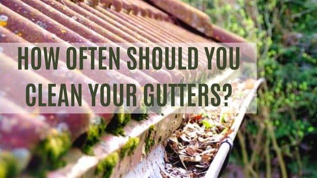 How Often Should You Clean Your Gutters? | PPT