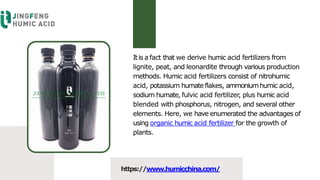 How Organic Humic Acid Fertilizer Can Be Beneficial For The Plants.pptx