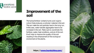 How Organic Humic Acid Fertilizer Can Be Beneficial For The Plants.pptx