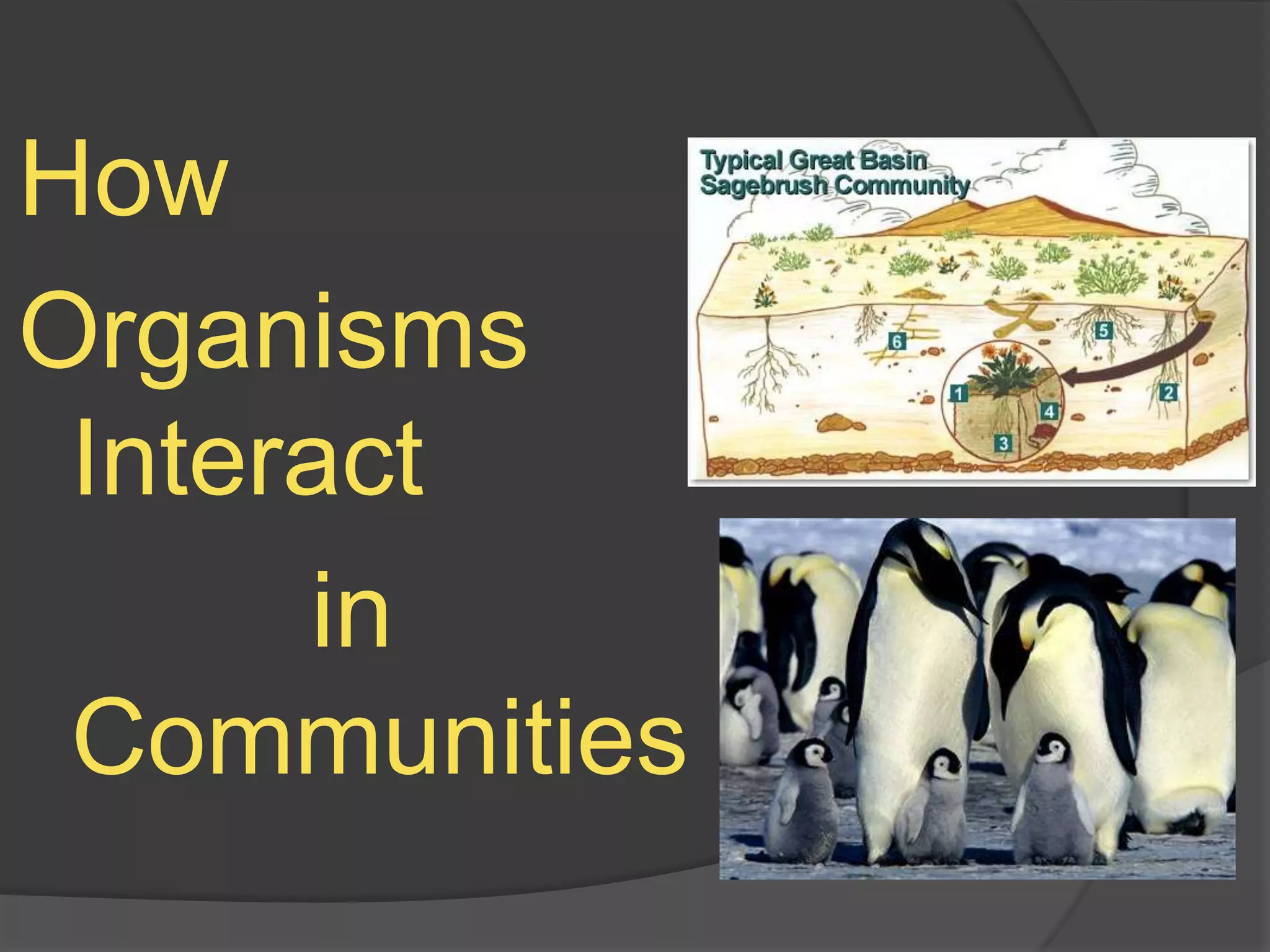 How organisms interact in communities | PPTX