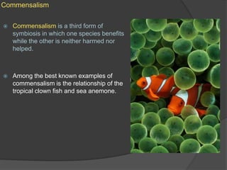 How organisms interact in communities | PPT