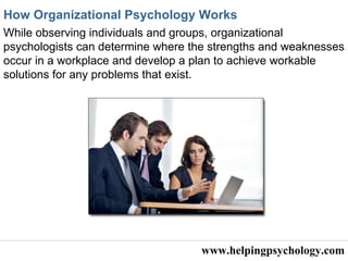 How Organizational Psychology Fosters a Productive Workplace | PPT