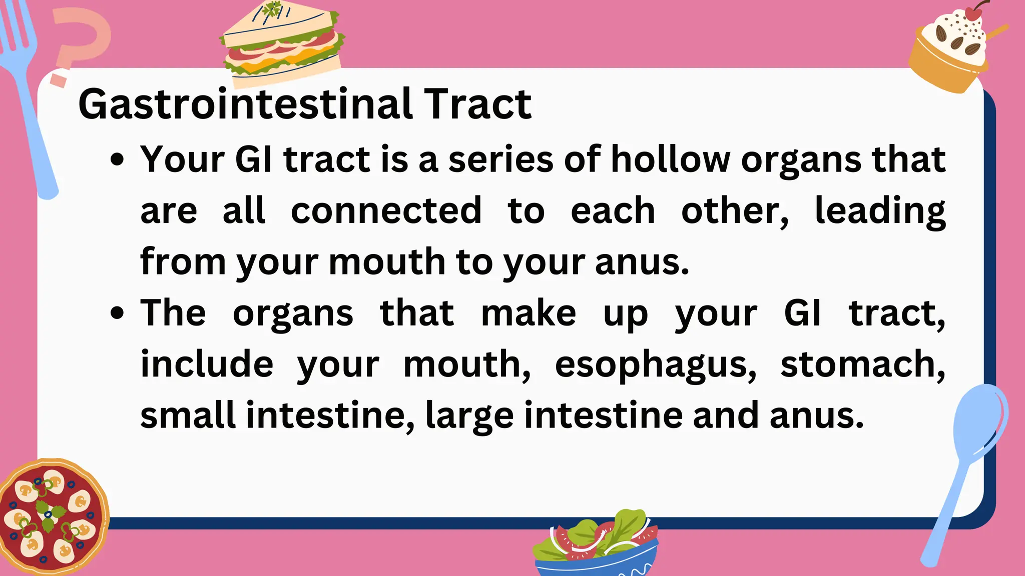 How Our Digestive System Works? It's organs- the mouth, esophagus ...