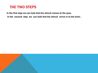 How our eyes see the colour | PPT