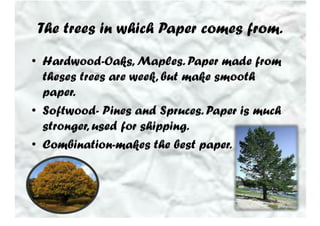 How Paper Is Made From Trees! | PPT