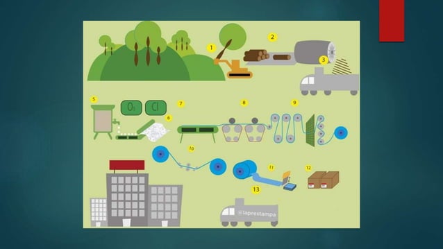 How (paper) is made_(PPG0.pptx | Woodworking | Arts and Crafts