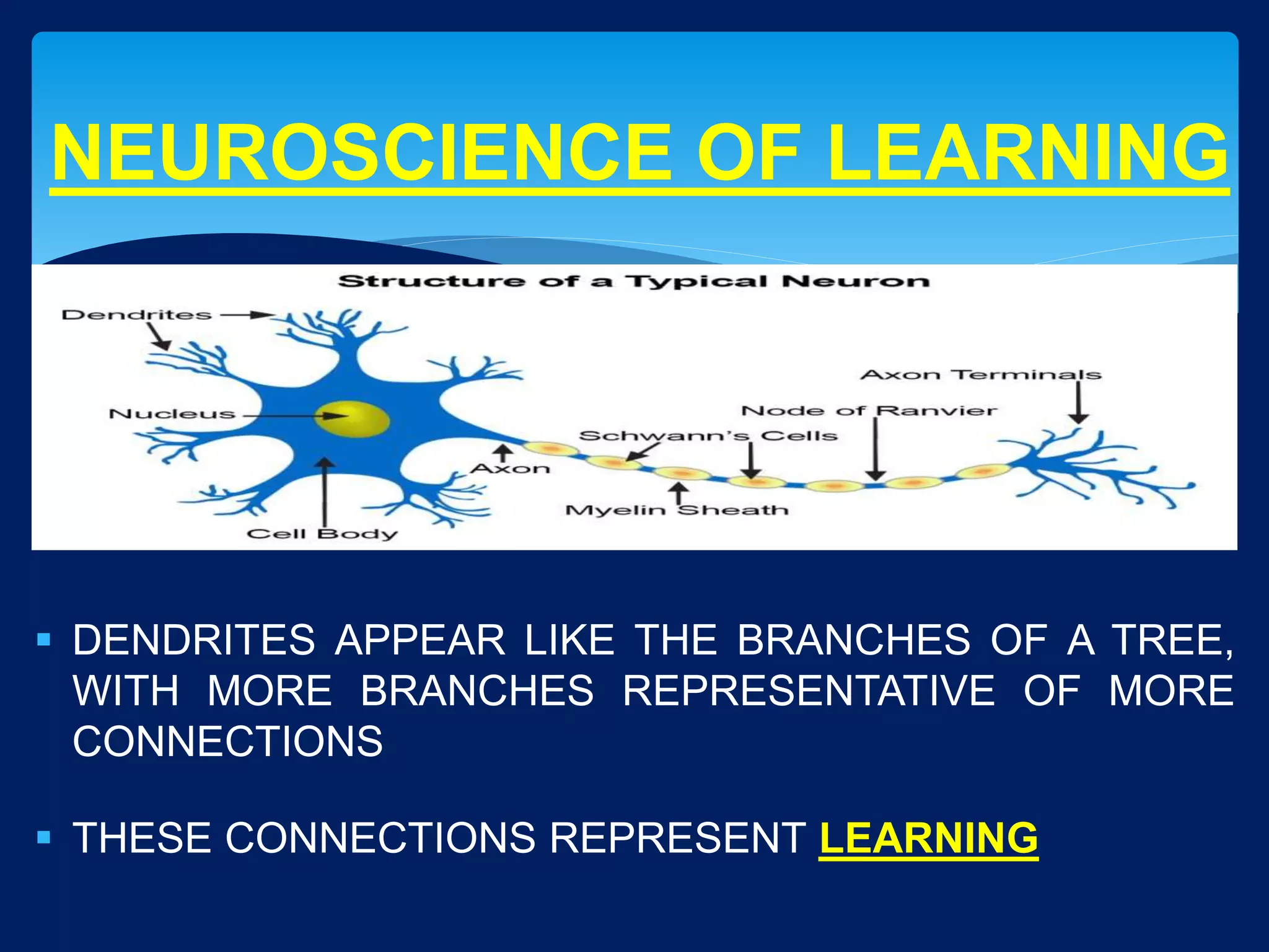 How people learn-The Neuroscience of Learning | PPTX