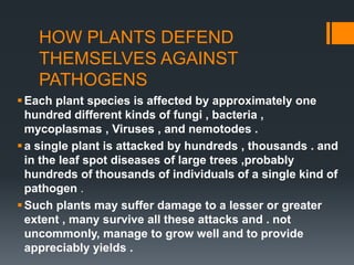How plants defend themselves against pathogens | PPTX
