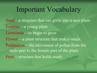 How planta feos and How Seeds travel (1).ppt