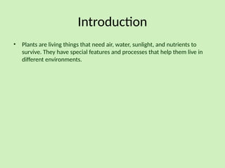 How_Plants_Survive_Colorful_Version.pptx
