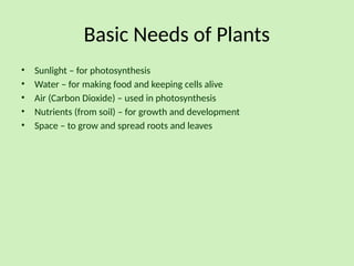 How_Plants_Survive_Colorful_Version.pptx