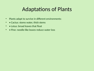 How_Plants_Survive_Colorful_Version.pptx
