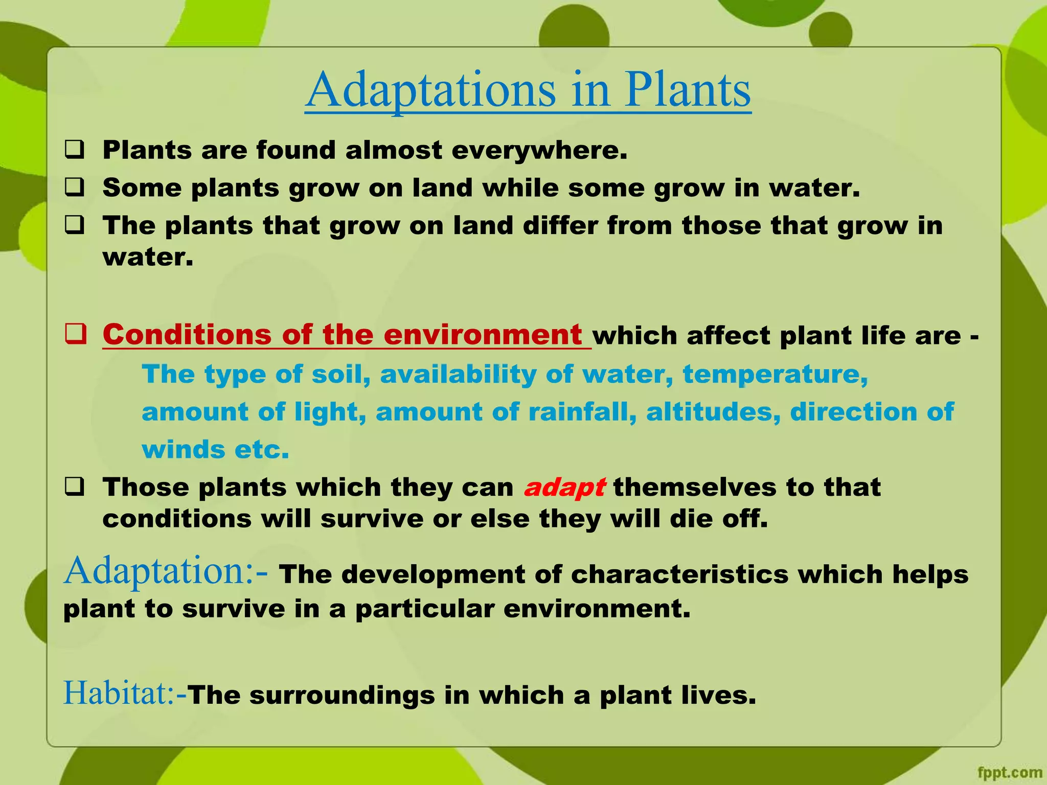 How plants survive CLASS IV | PPT