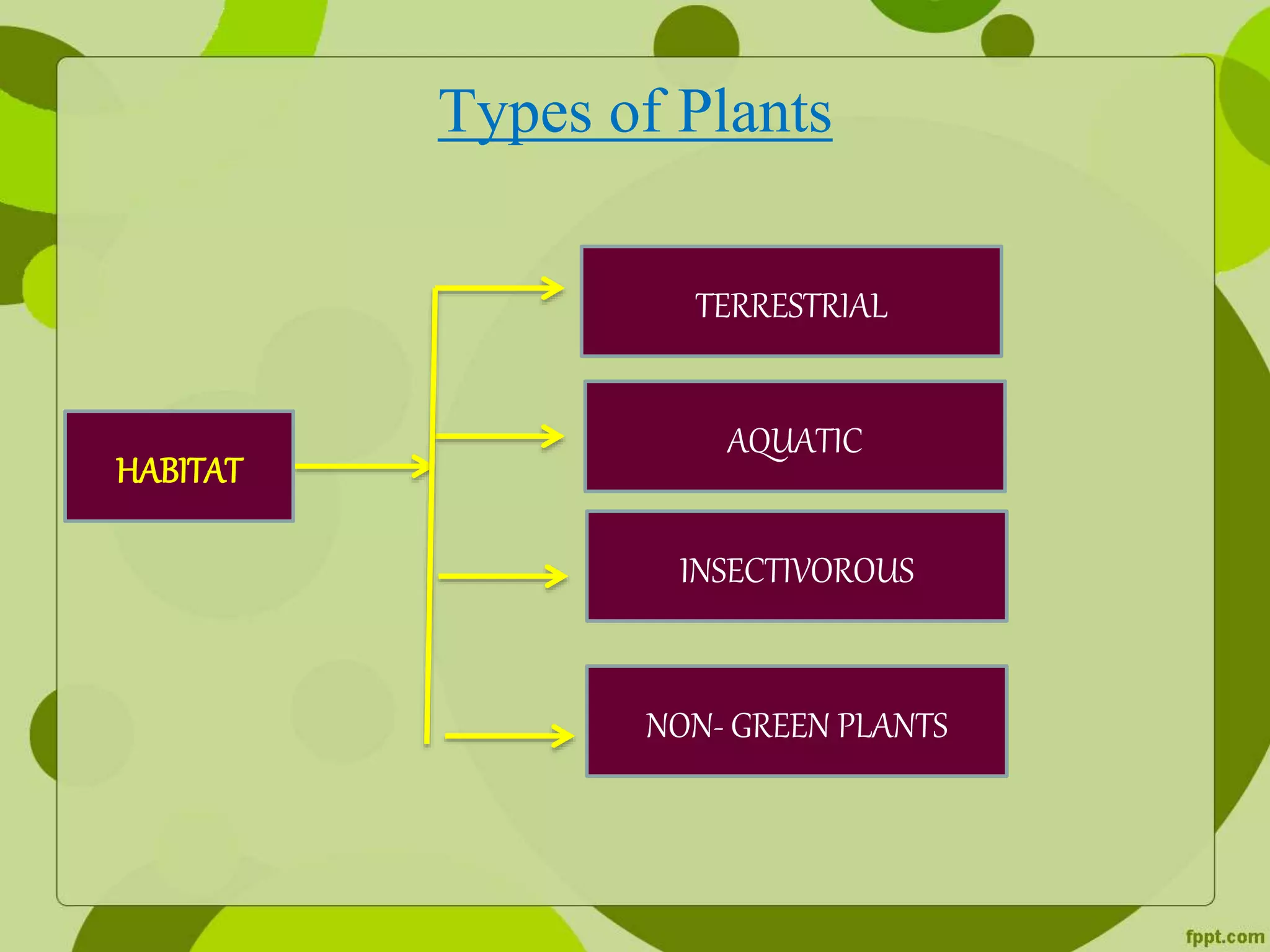 How plants survive CLASS IV | PPT