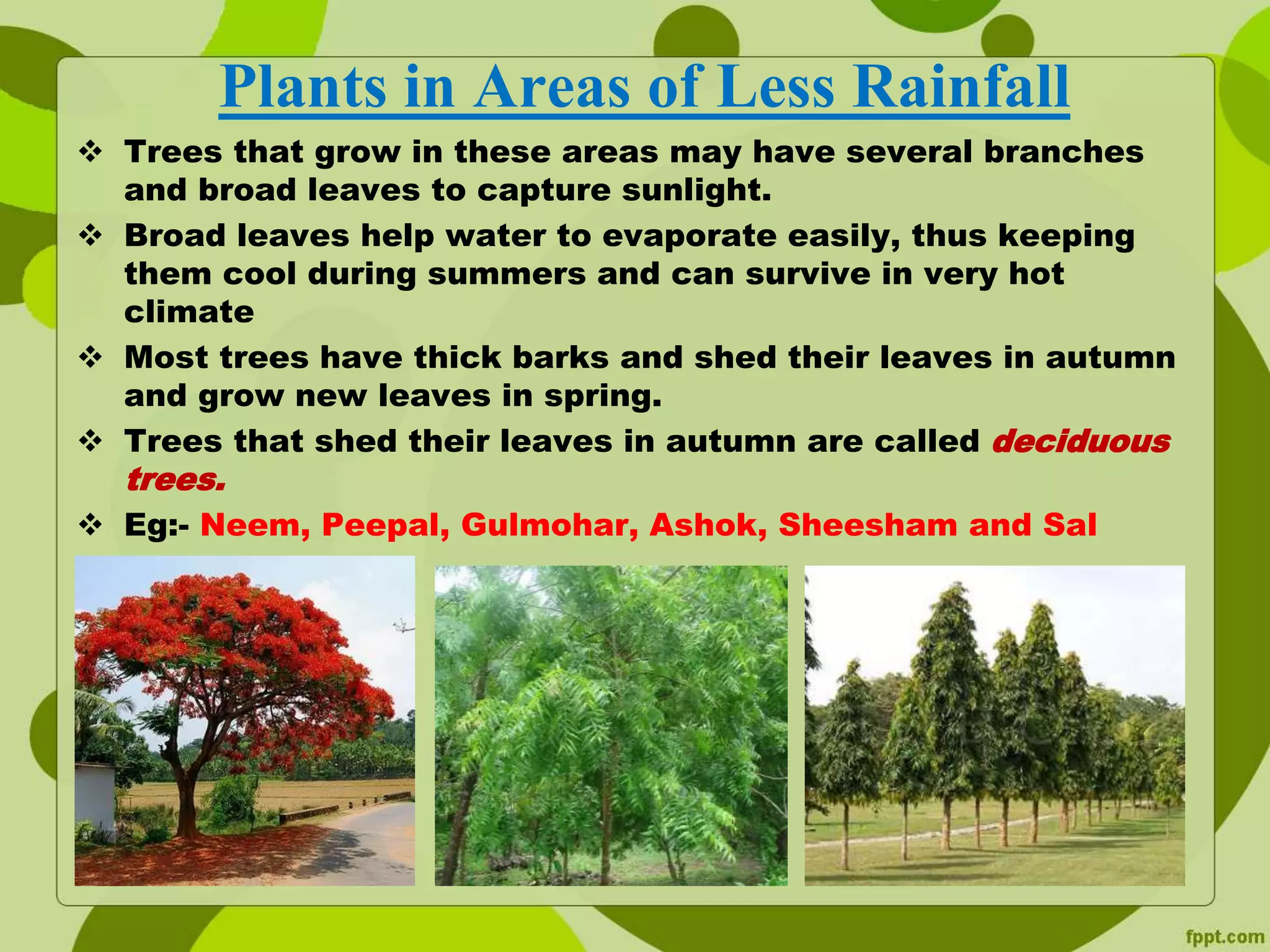 How plants survive CLASS IV | PPT