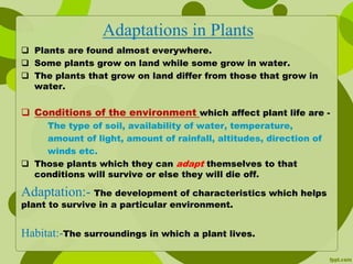 How plants survive CLASS IV | PPT