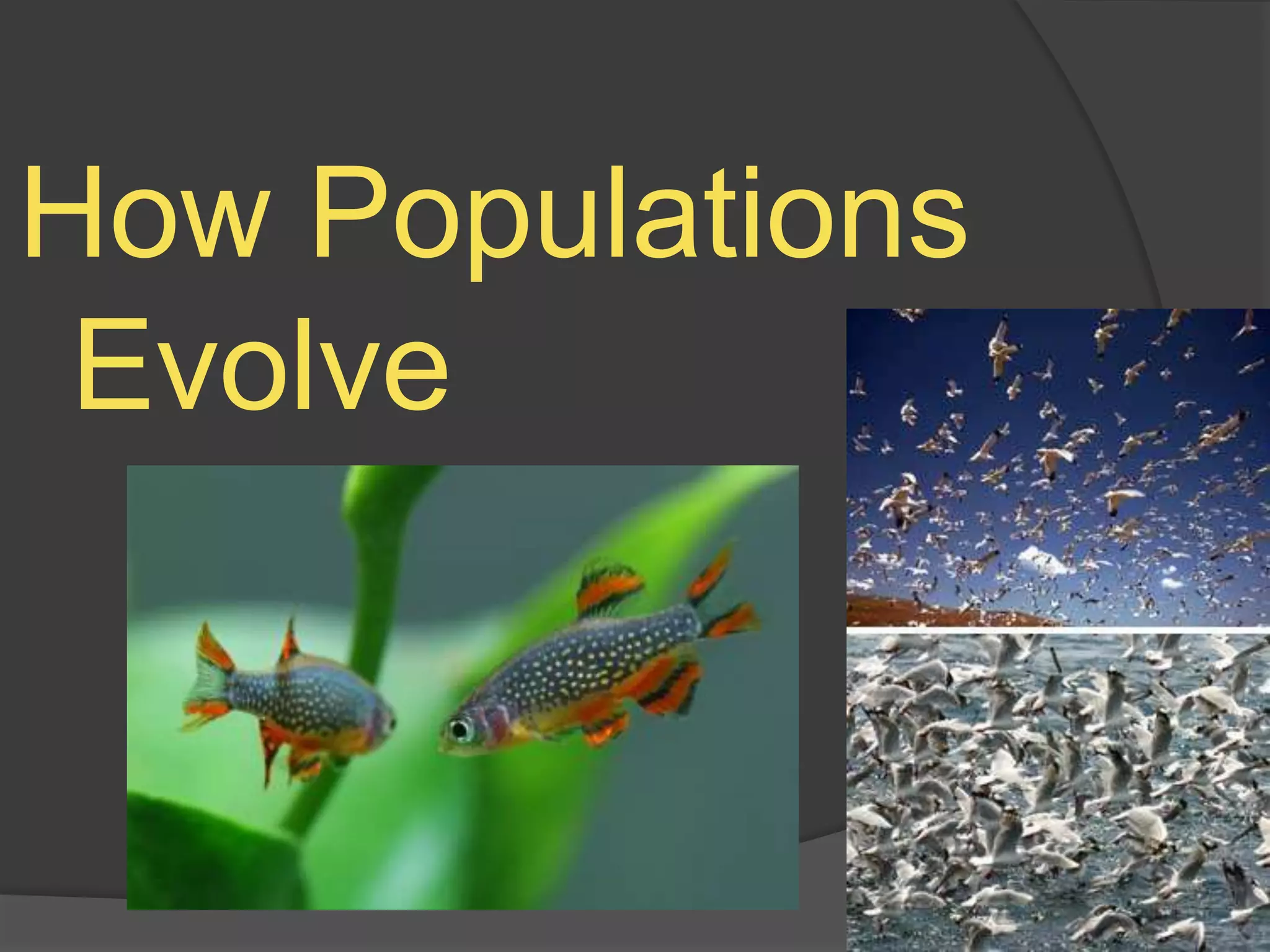 How population evolve | PPT