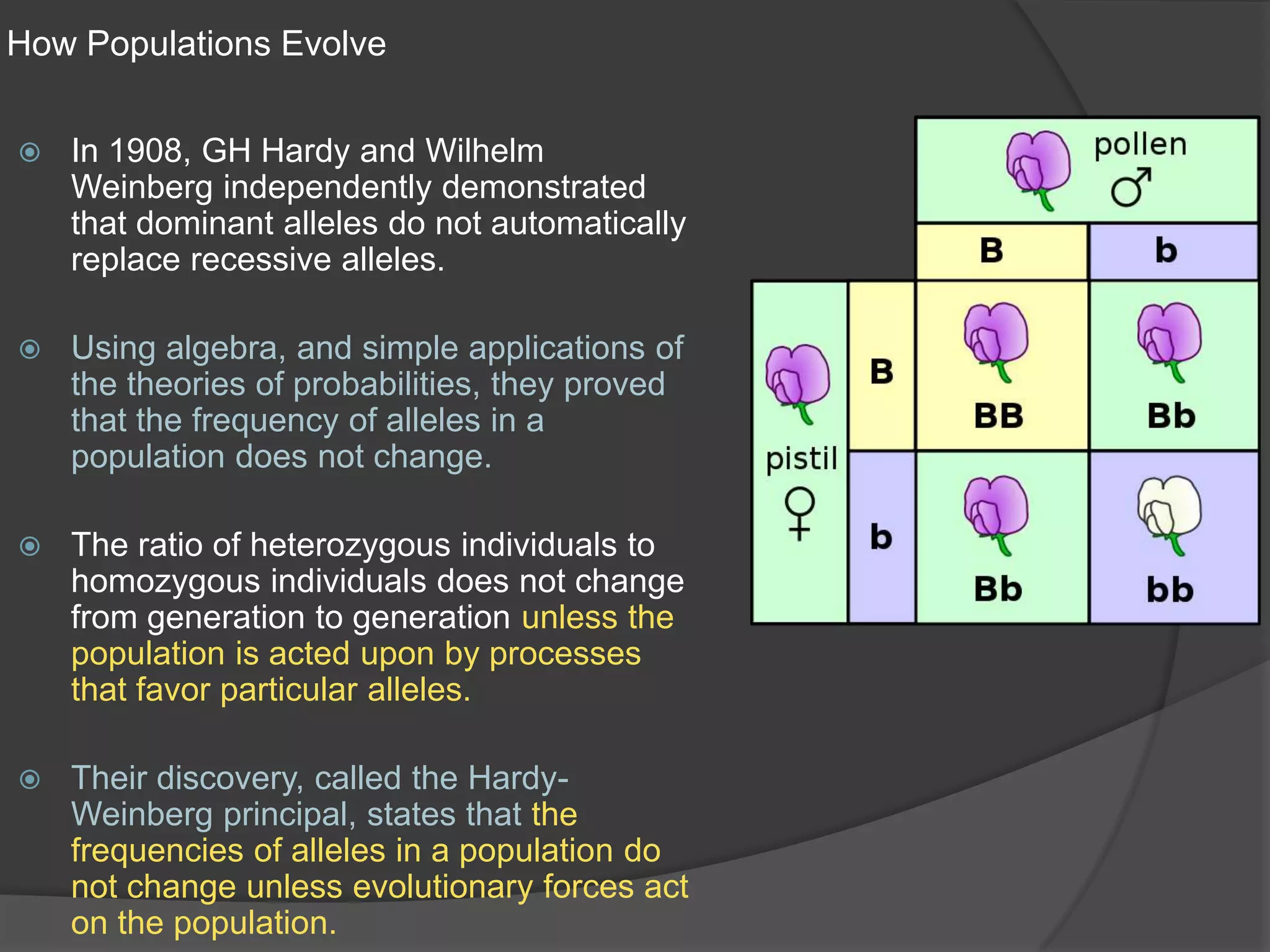How population evolve | PPTX
