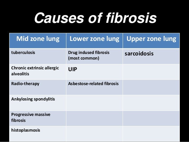 How read chest xr 12