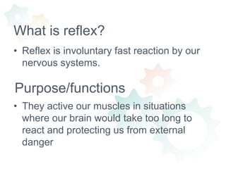 How Reflex Works | PPTX