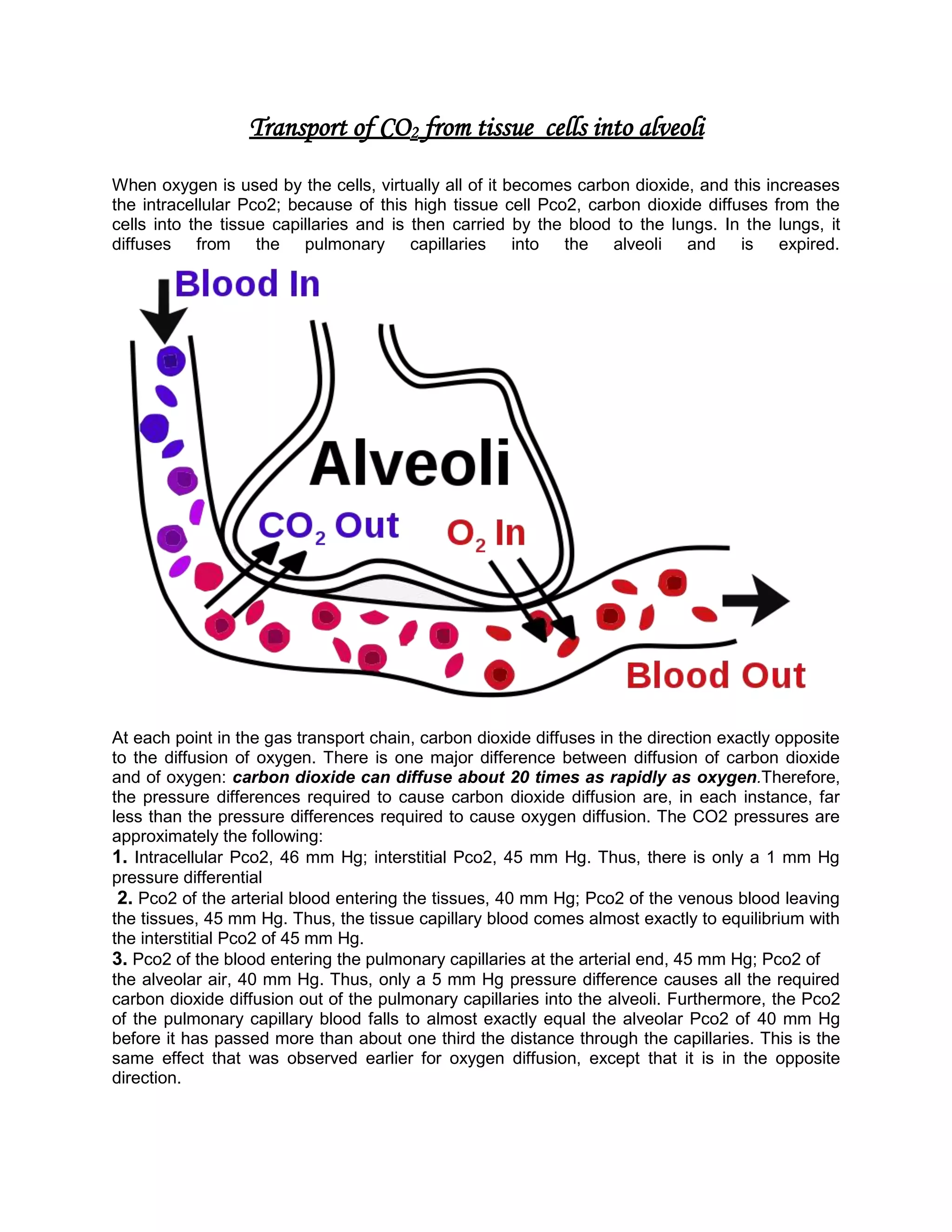 How respiration takes place in tissues | DOCX
