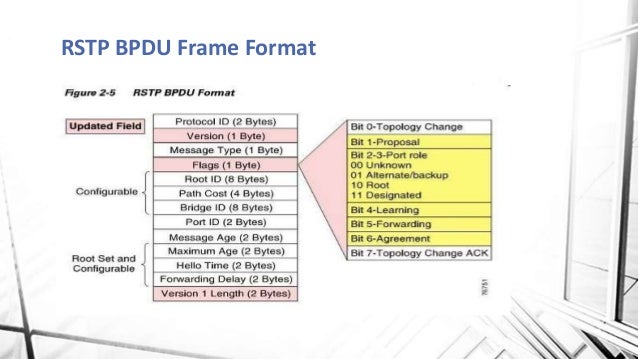 How STP and RSTP Works