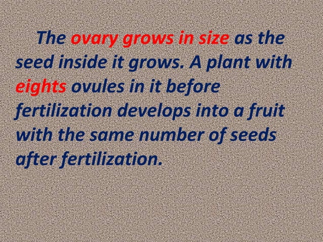 How seed is formed | PPT