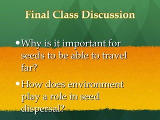 How Seeds Travel | PPT