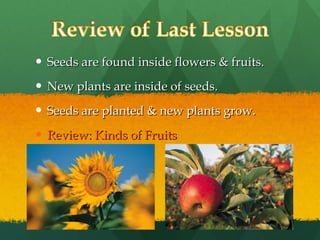 How Seeds Travel | PPT