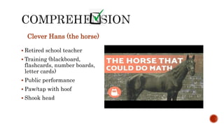 How Smart Are Animals.pptx