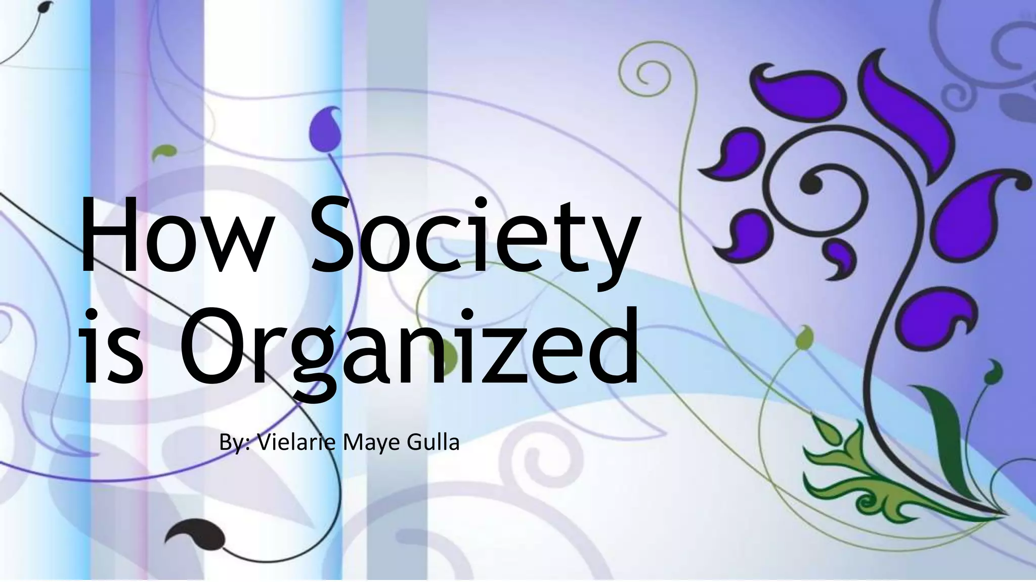 How society is organized | PPTX