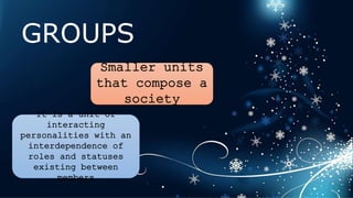 How society is organized | PPTX